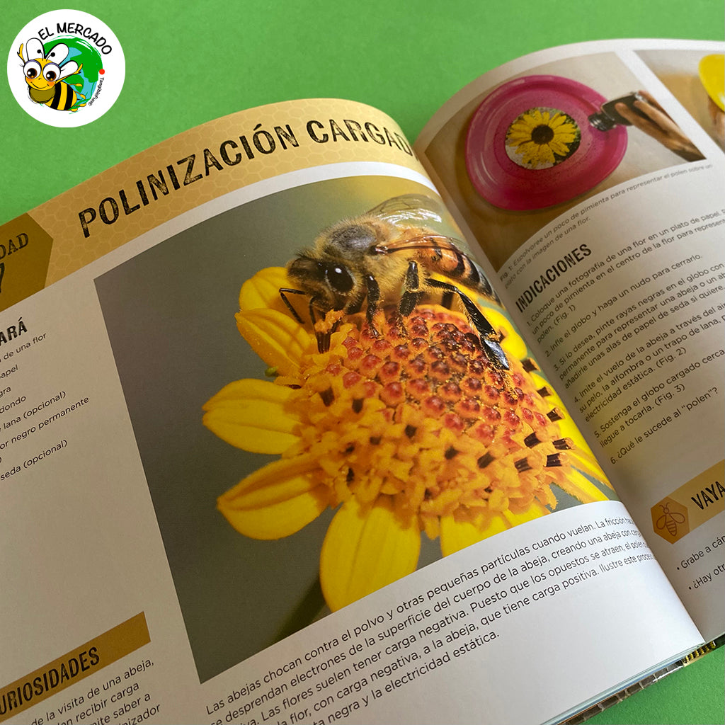 Libros Mundo Abejas – El Mercado de Honey Tina