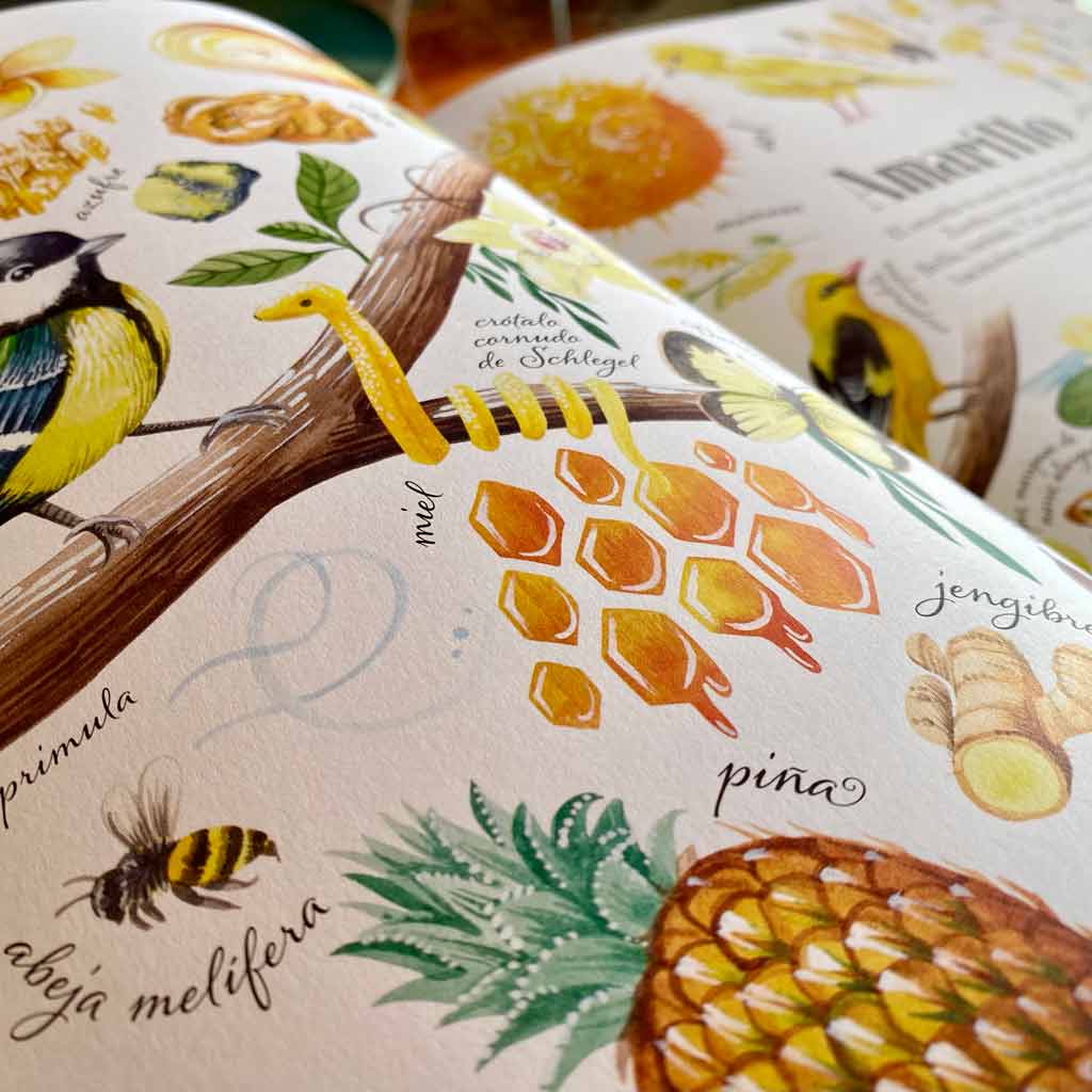 Colores De La Naturaleza La Naturaleza Del Color | PDF | Absorción